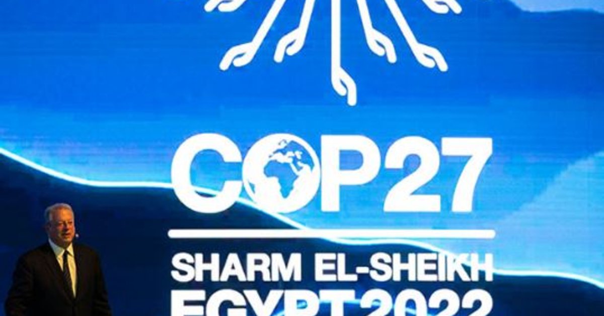 What are the lessons from COP27? | Investment Insights | Fidelity Australia