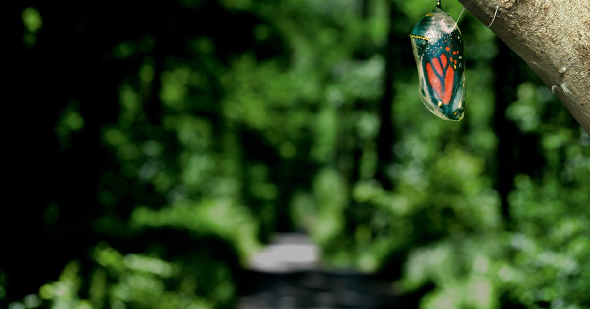 Fidelity Global Future Leaders Fund | Fidelity Australia