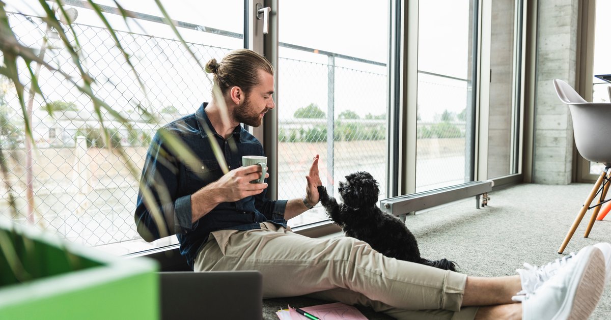Refining an offer for the next generation | Investment Insights ...