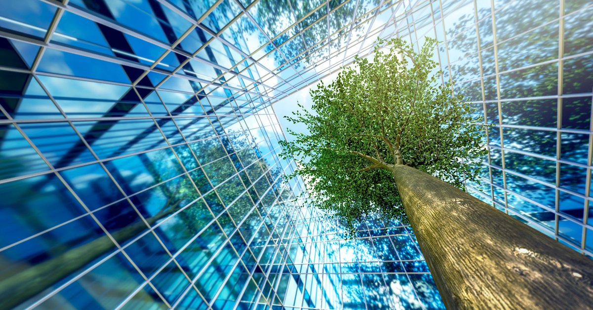 Asia leads the way as transition finance seeks to plug the net-zero ...